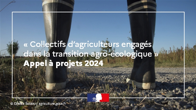 Appel à projets 2024 « collectifs d’agriculteurs engagés dans la transition agro-écologique ...