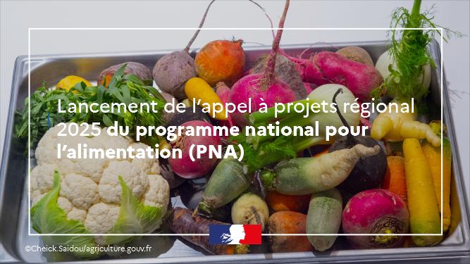 Lancement de l’appel à projets régional 2025 du programme national pour ...