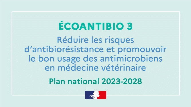 La lutte contre l’antibiorésistance continue avec le plan Écoantibio 3 ...